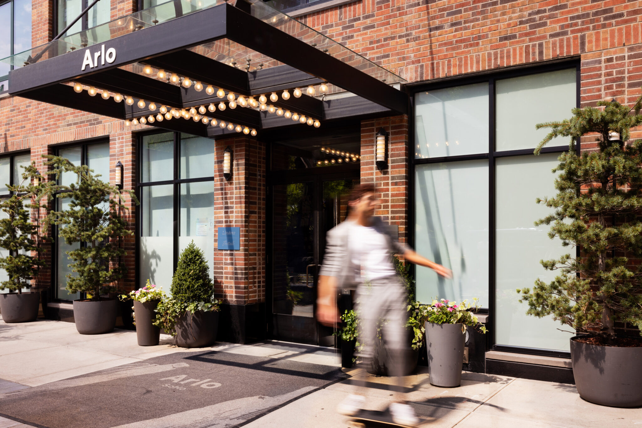 Arlo Hotels | Top Boutique Hotels in NYC, Miami, Chicago, Washington DC